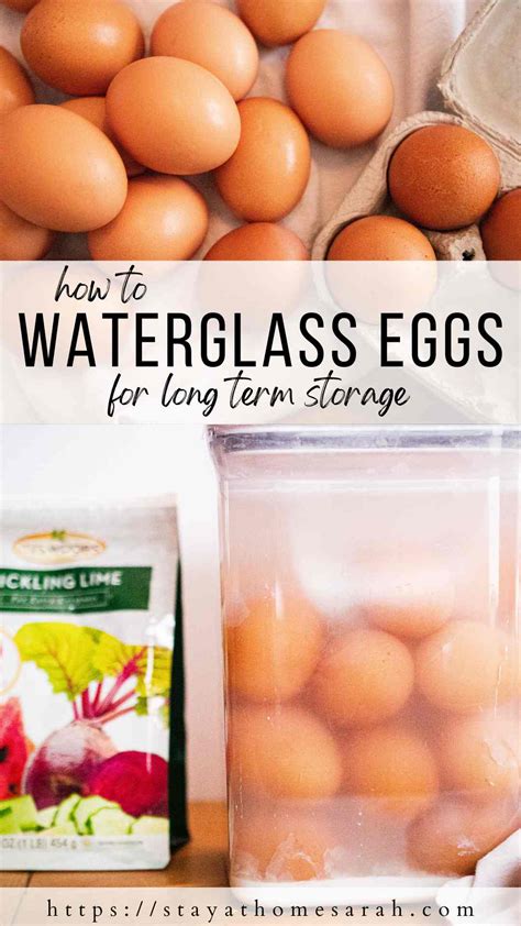 How To Water Glass Eggs For Long Term Storage Stay At Home Sarah