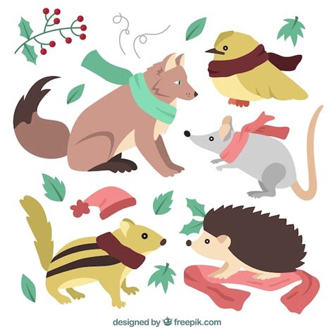 Squirrel Kite Motion Vectors And Illustrations For Free Download