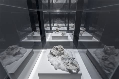 Andrea Ferro Photography