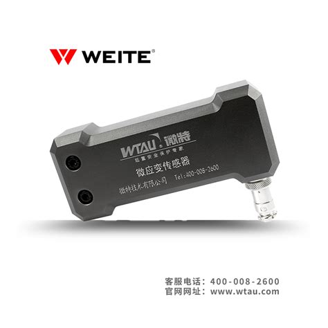 Sensor Regangan Mikro Lmi Cranes