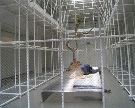 张洹问孔子 Topys创意内容平台