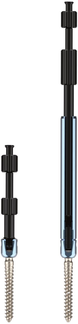 Anyplus® Fenestrated Screw System Gs Medical Usa