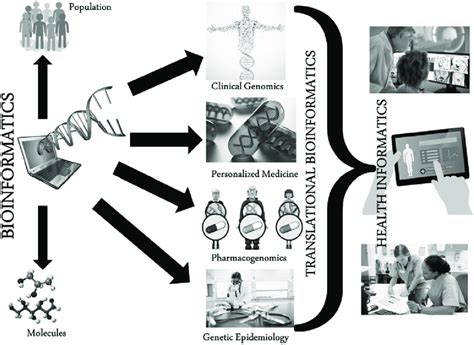 1 Translational Bioinformatics Tbi Bridges Between Bioinformatics And Download Scientific