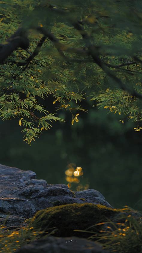 清新bot的照片 微相册