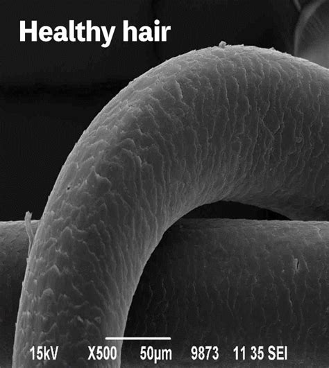 ε Polylysine As A Cosmetic Raw Material Natural Cationic Material
