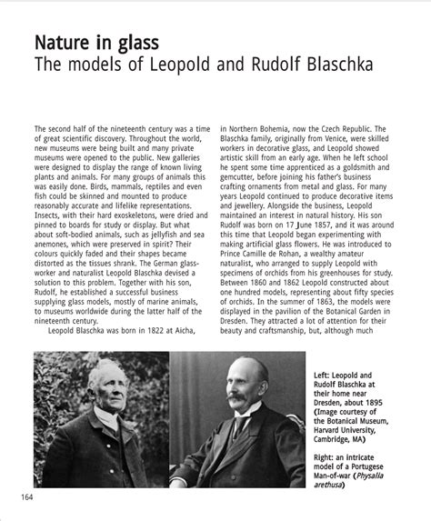 Pdf Nature In Glass The Models Of Leopold And Rudolf Blaschka