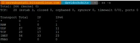 ¿cómo Se Usa El Comando Ss En Linux Ochobitshacenunbyte