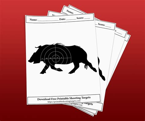 Free Deer Shooting Targets Printable Shooting Targets