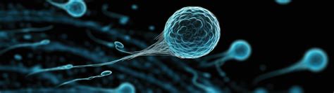 Single Cell Sequencing In Modern Research