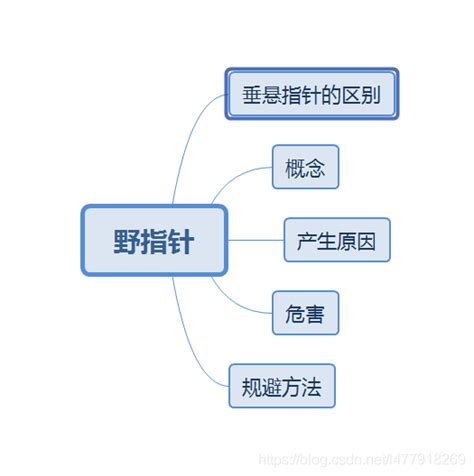 野指针（概念，产生原因，危害，避免方法） Csdn博客