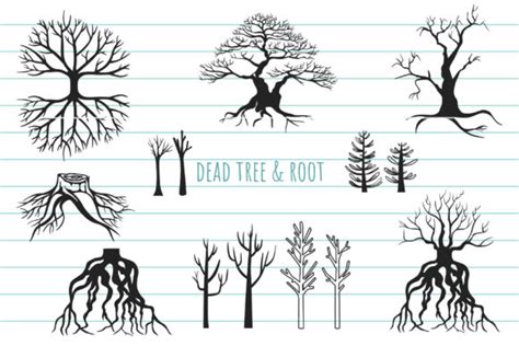 Dead Tree And Root Graphic By Archi Design · Creative Fabrica