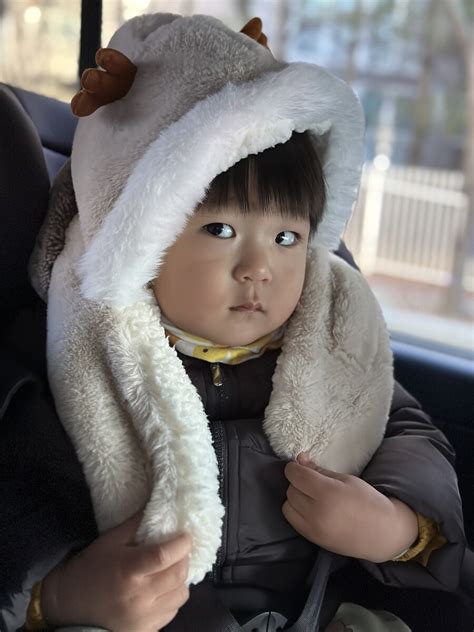 우리 아이 사진 모음 내사진애인사진 갤러리