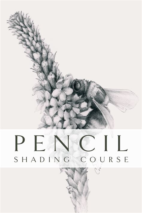 How To Shade Flowers With A Pencil — Katrina Crouch Art Pencil Shading Techniques Shading