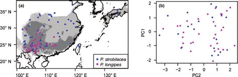 A Overlapping Distribution From Binary Sdms For The Species Pair P