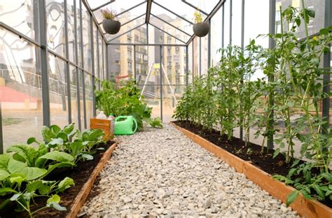 15 Pea Gravel Garden Ideas To Transform Your Outdoor Space