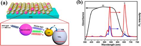 A Schematic Illustration Of The Upconverter Based Electrode For Download High Quality