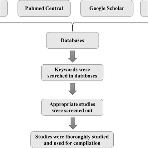 Flow Chart Showing The Methodology And Data Assessing Of Appropriate
