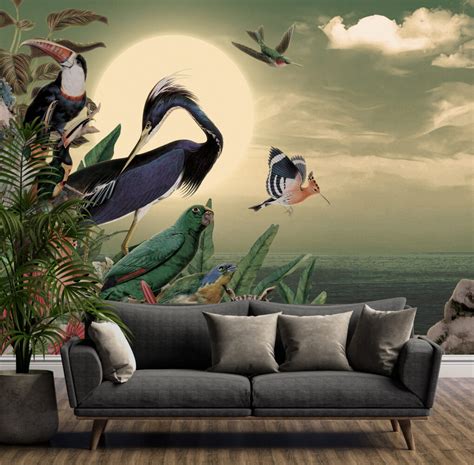 Exotic Birds Wallpaper Muravie