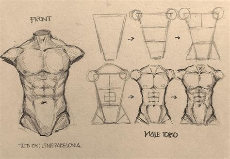 Ln3arts On Instagram Learn How I” Draw Male Torso In Three Different