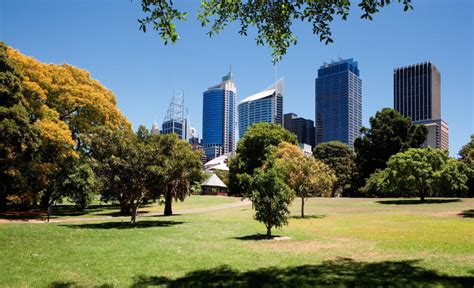 Trouble Ticket Management Unlock Workflow Efficiency