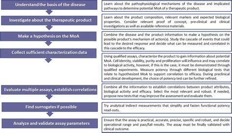 Steps In The Development Of A Potency Assay Download Scientific Diagram
