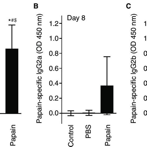 Papain Patched On The Backs Of Hairless Mice Induced Papain Specifi C