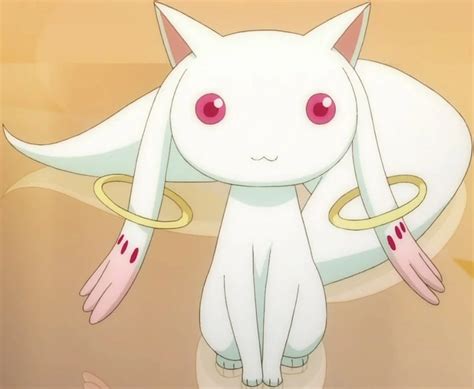 Kyubey Puella Magi Madoka Magica Fiction Taxonomy Wiki Fandom