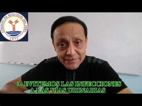 3 Evitemos Infecciones A Las VÍas Urinarias Youtube