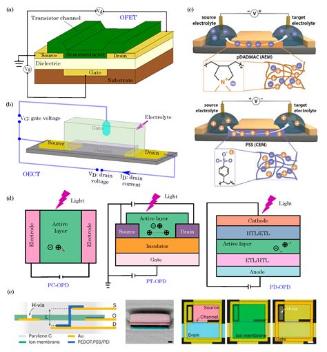 Organic Electronics In Biosensing A Promising Frontier For Medical And