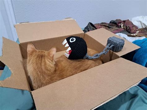 I Made My Sons Girlfriend A Chain Chomp Cat For Scale Ramigurumi