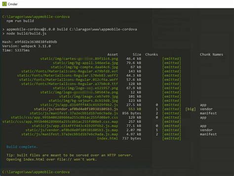 cordova webpack vue js npm run build old assets version stack