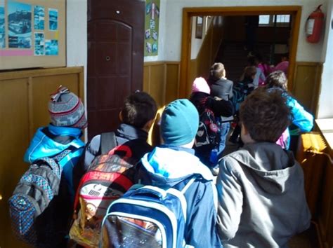 Poezii De Daniela Caurea Machete Didactice