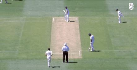 Cricket S Wiffle