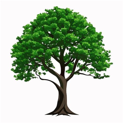 Premium Vector Oak Tree Vector Graphic In Flat Design Concept Highquality Illustration