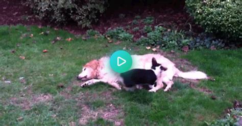 Weeeeeeeeeeee  On Imgur