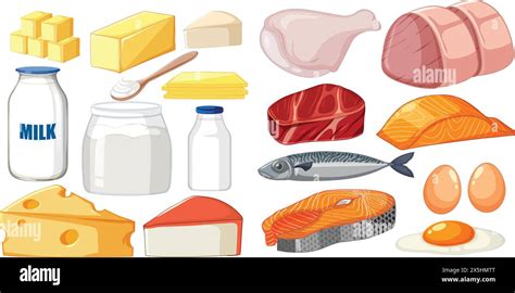 Dairy Products Balanced Nutrition Cut Out Stock Images And Pictures Alamy