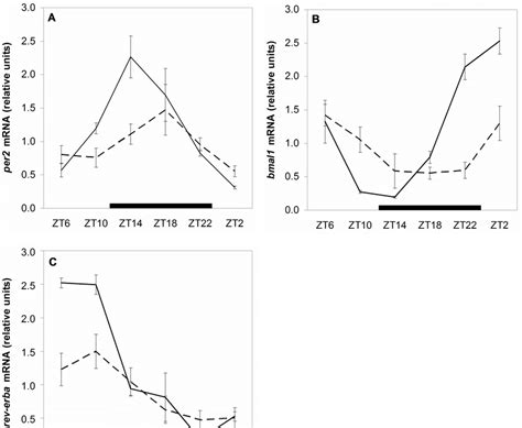 Effect Of Rotating Light Dark Regimen With Phase Advances On Per2 A Download Scientific