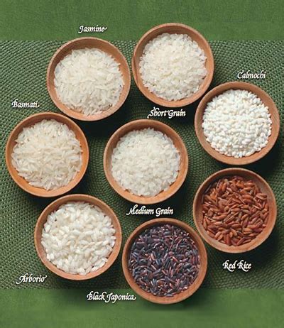 Indica Vs Japonica Rice Talenmadis