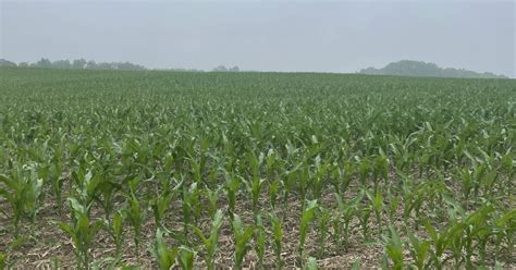 Northeast Indiana Drought Conditions Improve After Weekend Rain Wboi