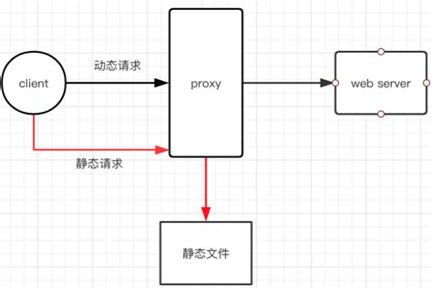 配置实例 动静分离 豌豆ip代理