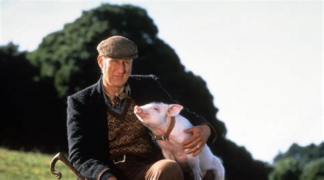 Babe 1995 4k Uhd Review Small Pig Big Legacy ⋆ The Mn Movie Man