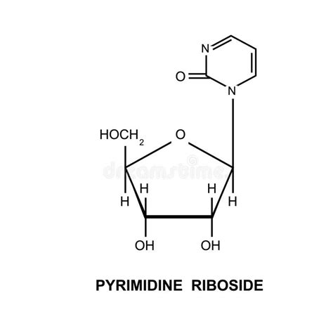 Pyrimidine Stock Illustrations Vecteurs And Clipart 415 Stock Illustrations