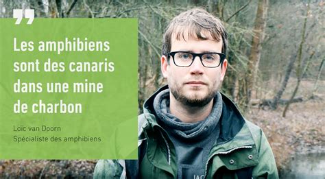 Les Dégâts Du Réchauffement Climatique