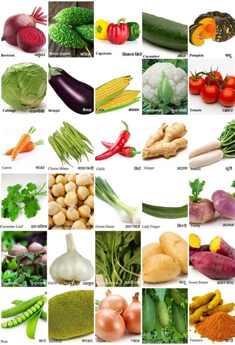 Vegetable Pictures Vegetables Names List Of Vegetables