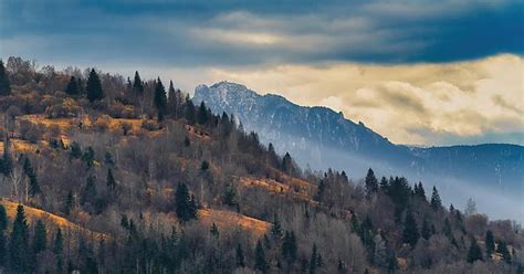 Before Spring © By Enache Armand Iustinian Photography Iasi Romania