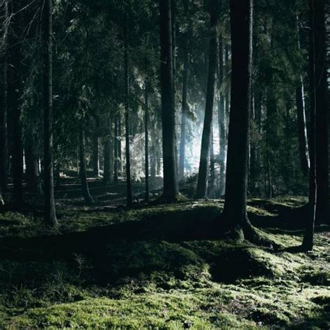 Uranium Breakdown Youtube