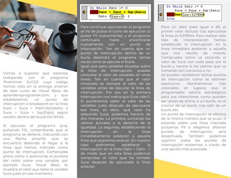 Folleto Explicativo Visual Basic