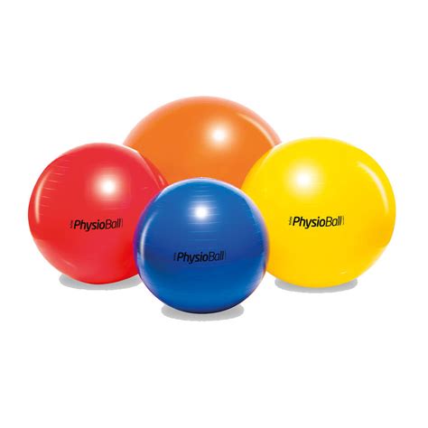 Original Standard Physioball Pieces 105 Cm Fitmax Srl