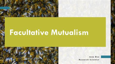 Facultative Mutualism Ppt Mockup Acp Ppt Example