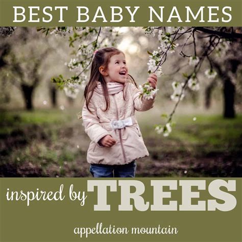 Appellation Mountain Where Every Name Has A Story